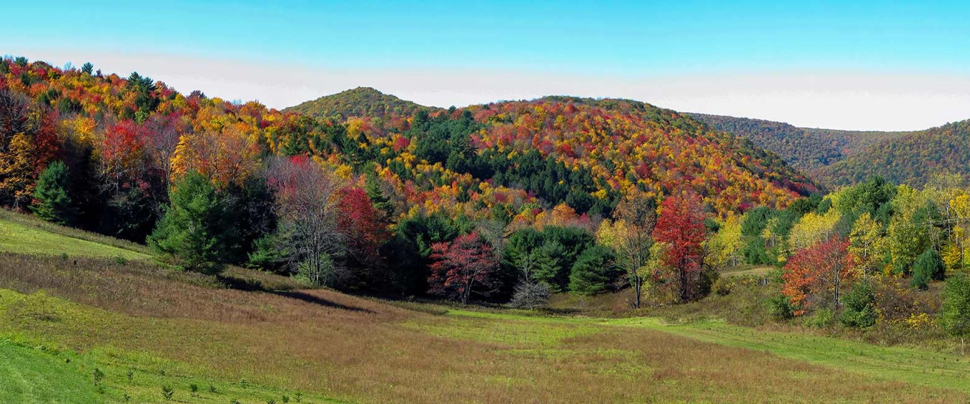 The Team | Traverse Private Wealth